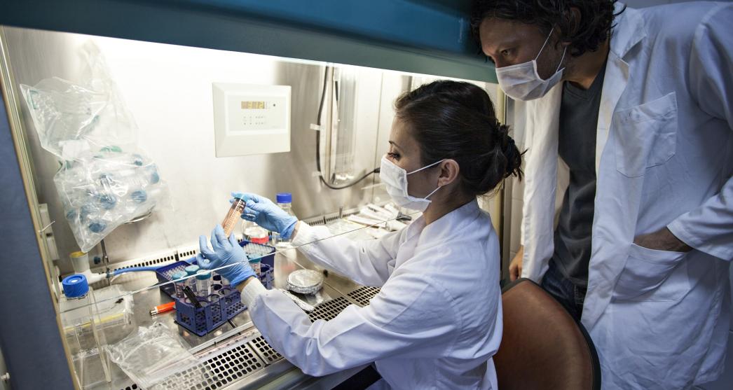 Tracking GSK’s value chain emissions and reductions year on year | The ...